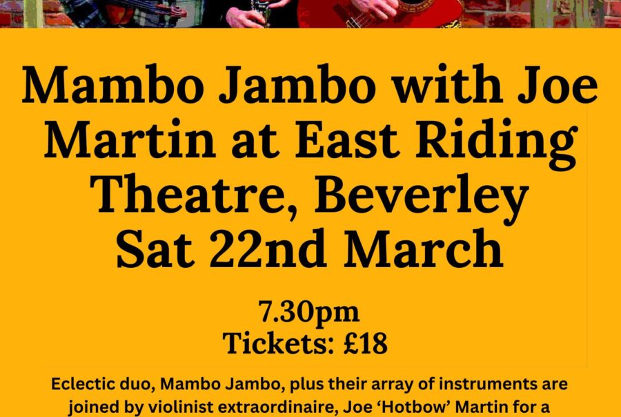MAMBO JAMBO – Acoustic Roots Duo